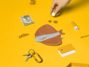 Fanfish, Orange - wasserabweisend